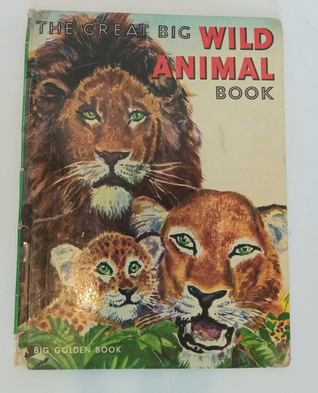 Vintage Great Big Wild Animal Book, Oversized Golden Book, Color ...