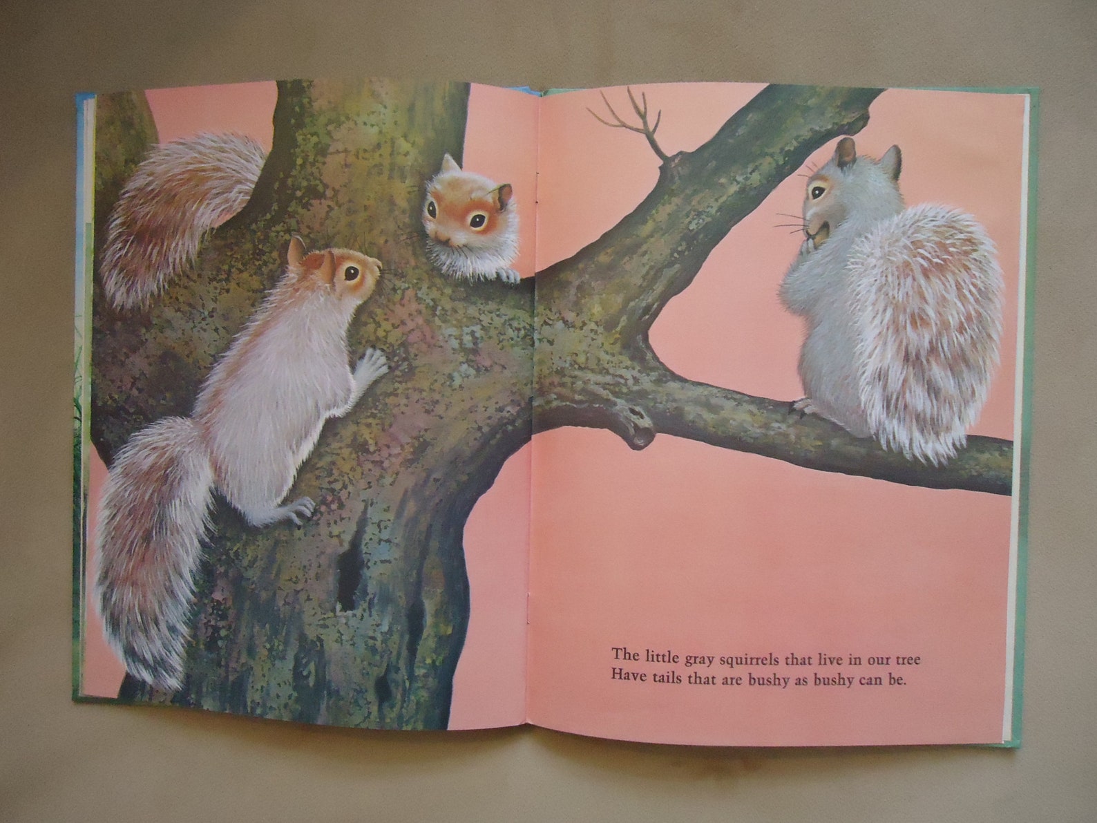 A Tale of Tails 1962 a Children's Hardcover Animal Book | Etsy