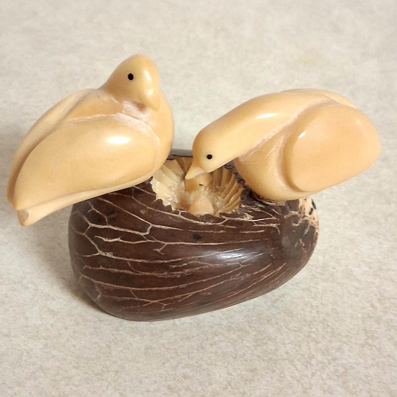 Vegetable Ivory - Etsy
