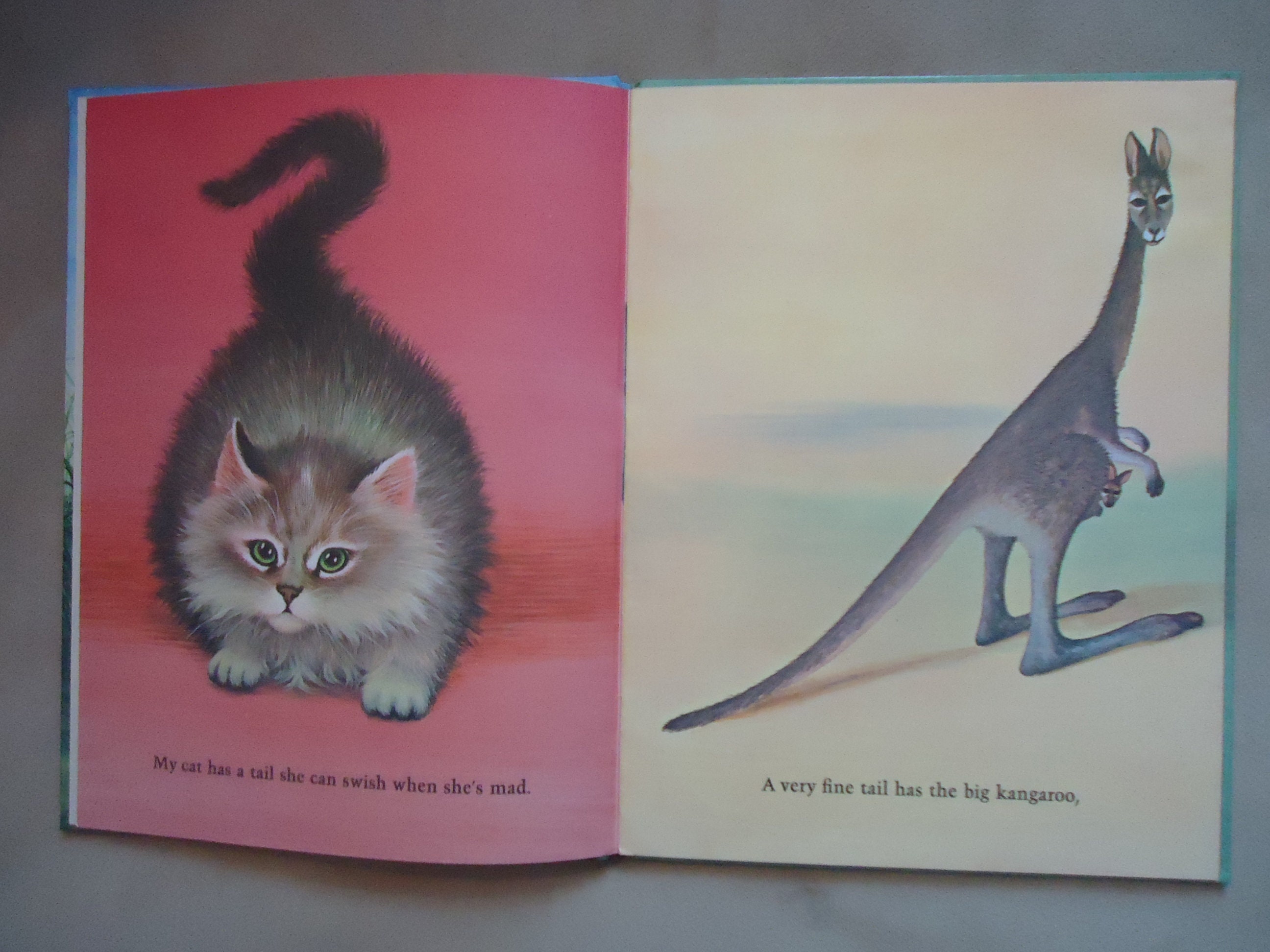 A Tale of Tails 1962 a Children's Hardcover Animal Book | Etsy