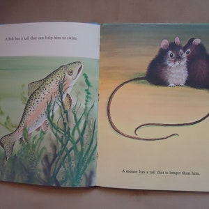 A Tale of Tails 1962, a Children's Hardcover Animal Book, by Elizabeth ...