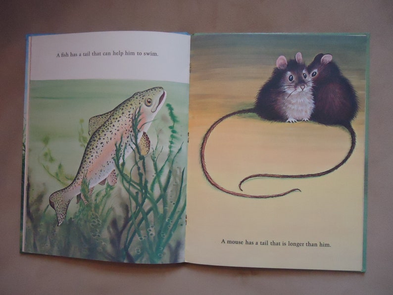 A Tale of Tails 1962 a Children's Hardcover Animal Book - Etsy