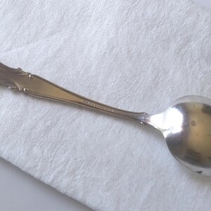 Antique Silver Plate Serving Spoon: Rogers & Hamilton Raphael Pattern ...