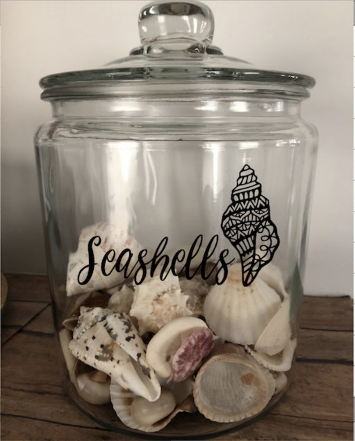 Seashell Collection Holder Seashell Keepsake Beach | Etsy