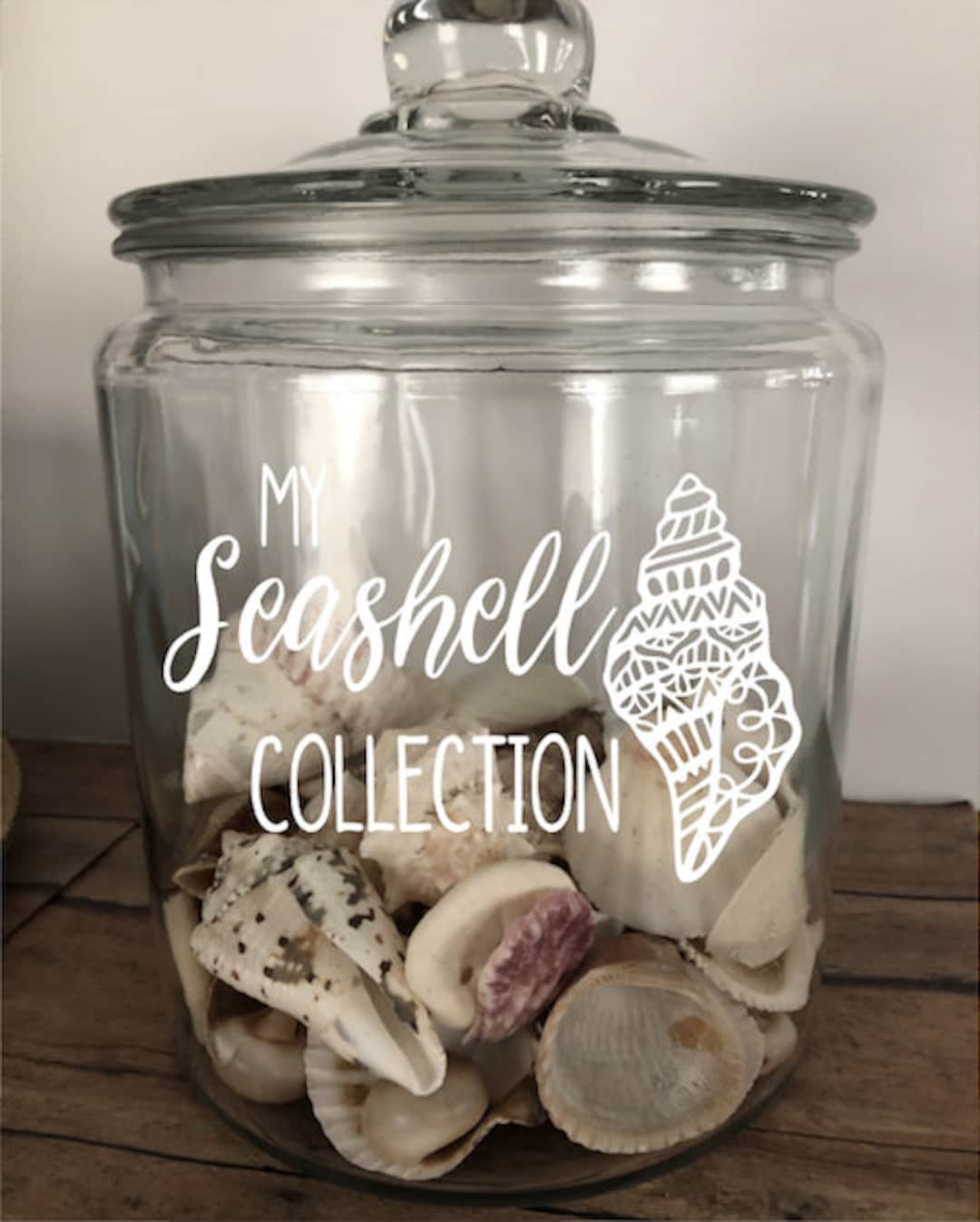 Seashell Collection Holder, Seashell Keepsake, Beach Treasures, Beach ...