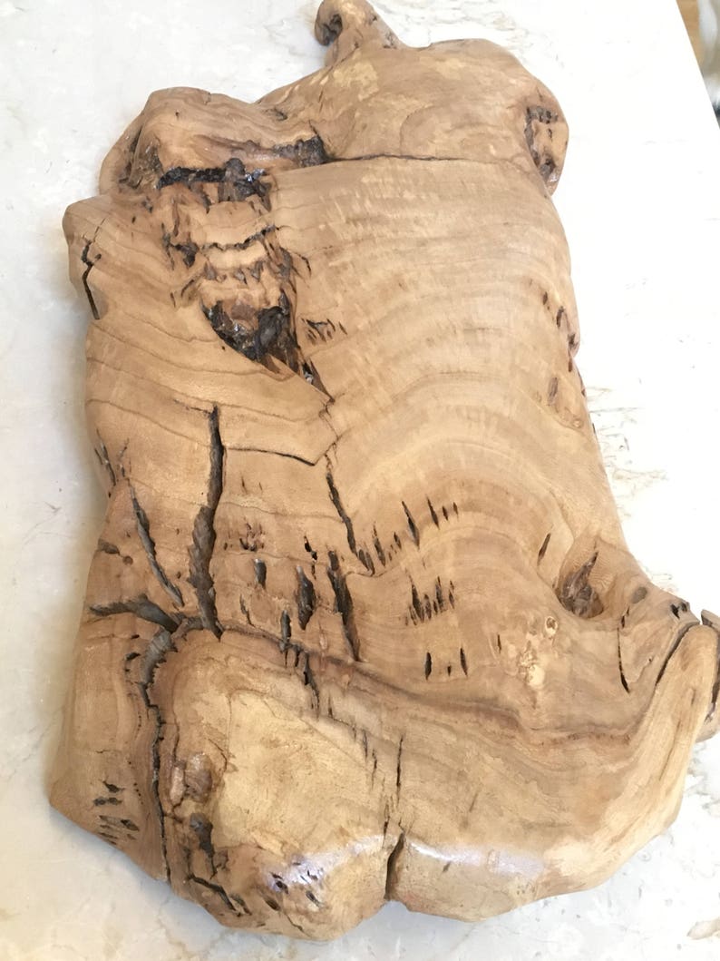 Maple-burl Presentation Board - Etsy