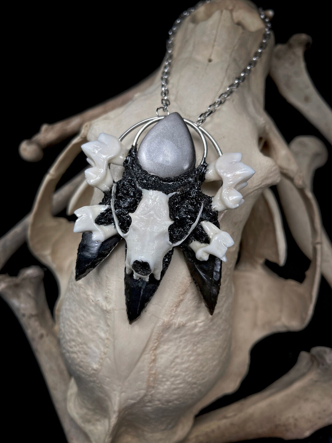 Animal Skull, Goth, Real Skull, Skull Jewelry, Oddities, Animal Bones ...