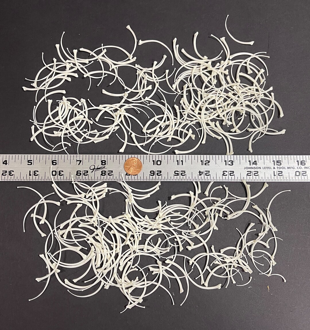 Snake Ribs, Python Ribs, Craft Supplies, Jewelry Supplies, Small Bones ...