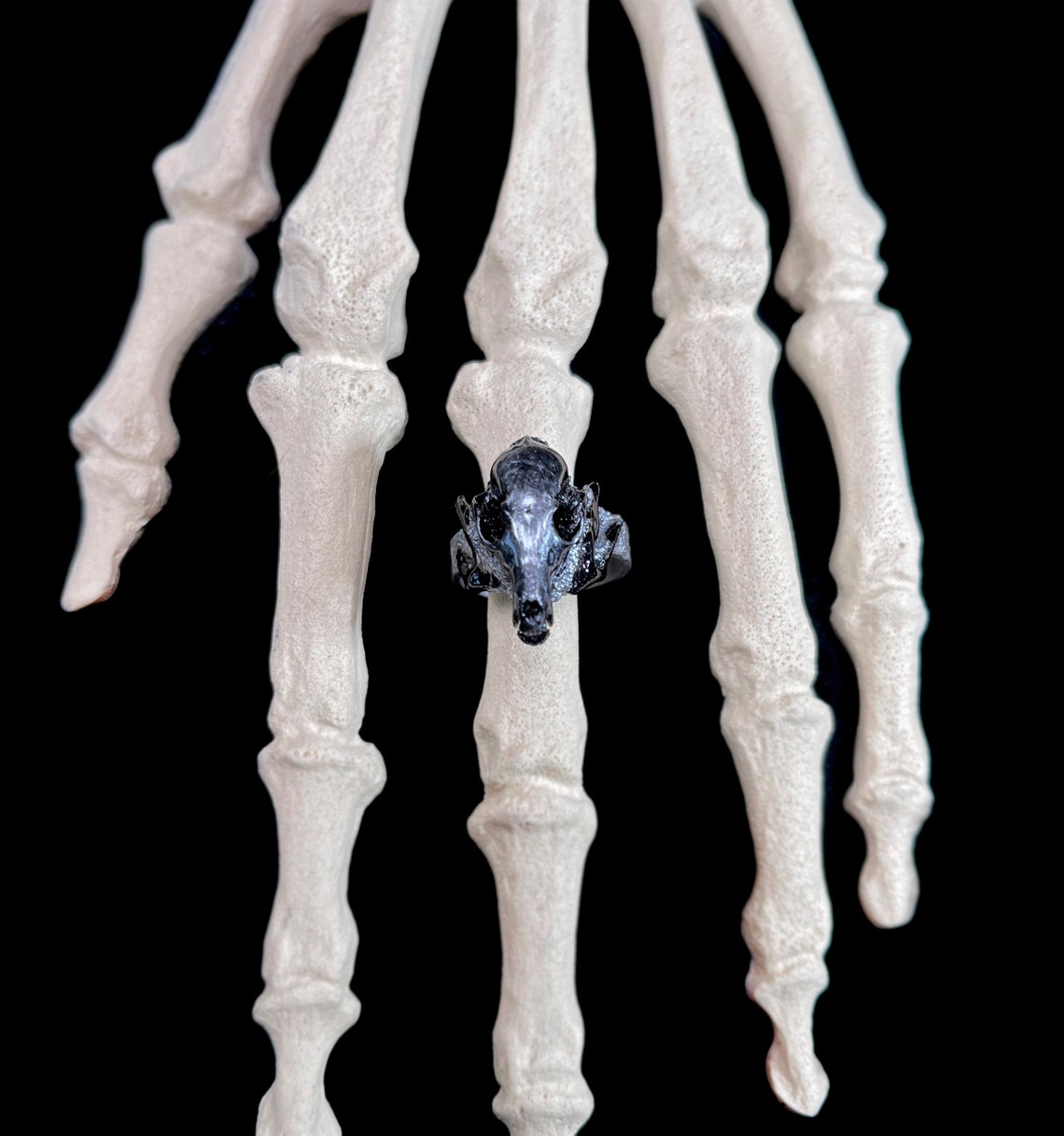 Real Bone Bone Ring Fox Skull Fox Tooth Teeth Animal - Etsy