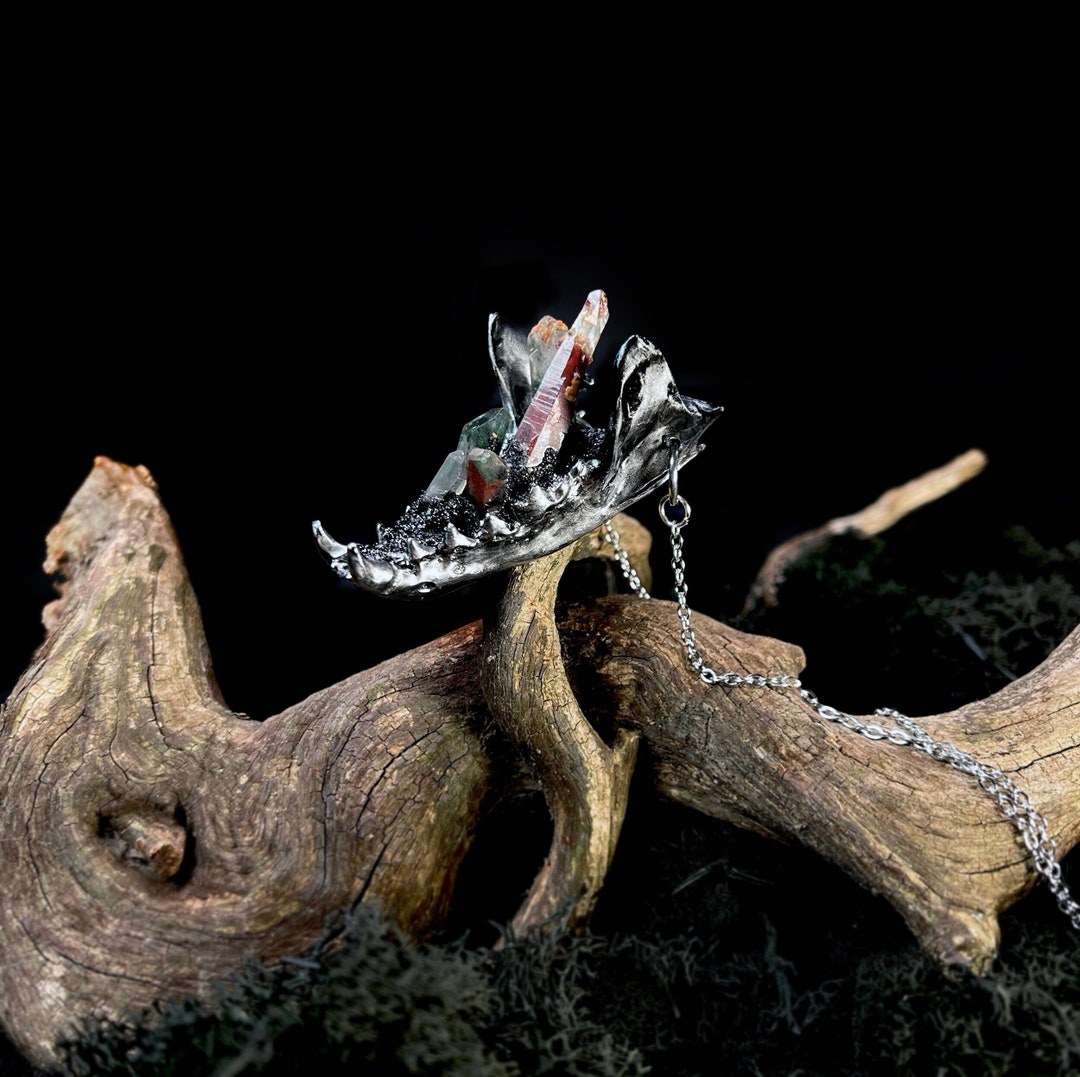 Bone Jewelry, Bone Necklace, Jawbone Necklace, Real Bone, Taxidermy ...