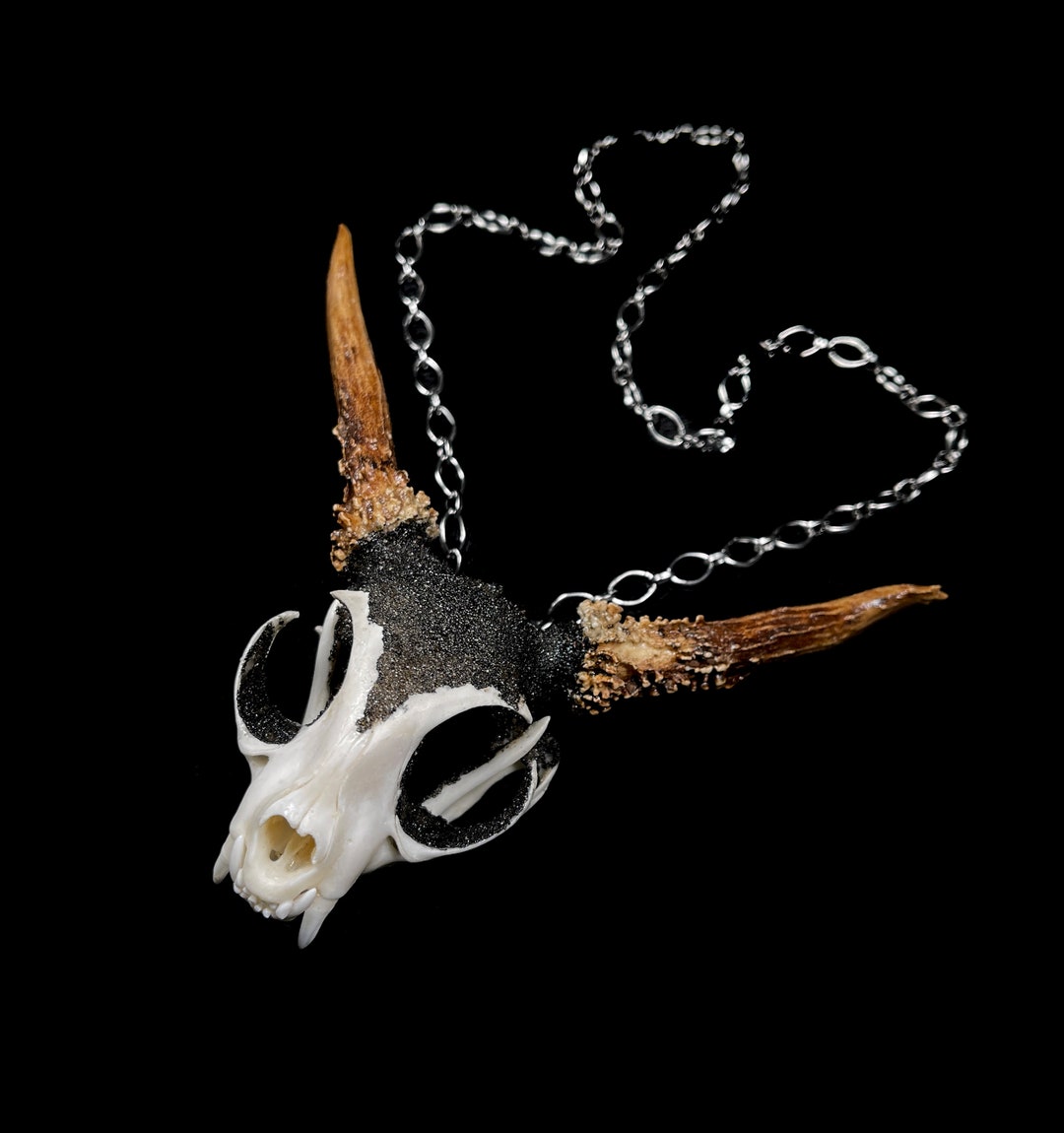 Animal Skull, Catelope, Feline Skull, Real Skull, Jewelry, Oddities ...