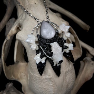Animal Skull, Goth, Real Skull, Skull Jewelry, Oddities, Animal Bones ...