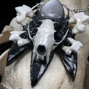 Animal Skull, Goth, Real Skull, Skull Jewelry, Oddities, Animal Bones ...