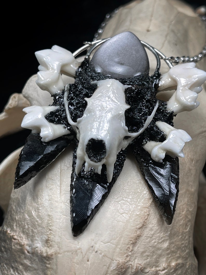 Animal Skull Goth Real Skull Skull Jewelry Oddities - Etsy