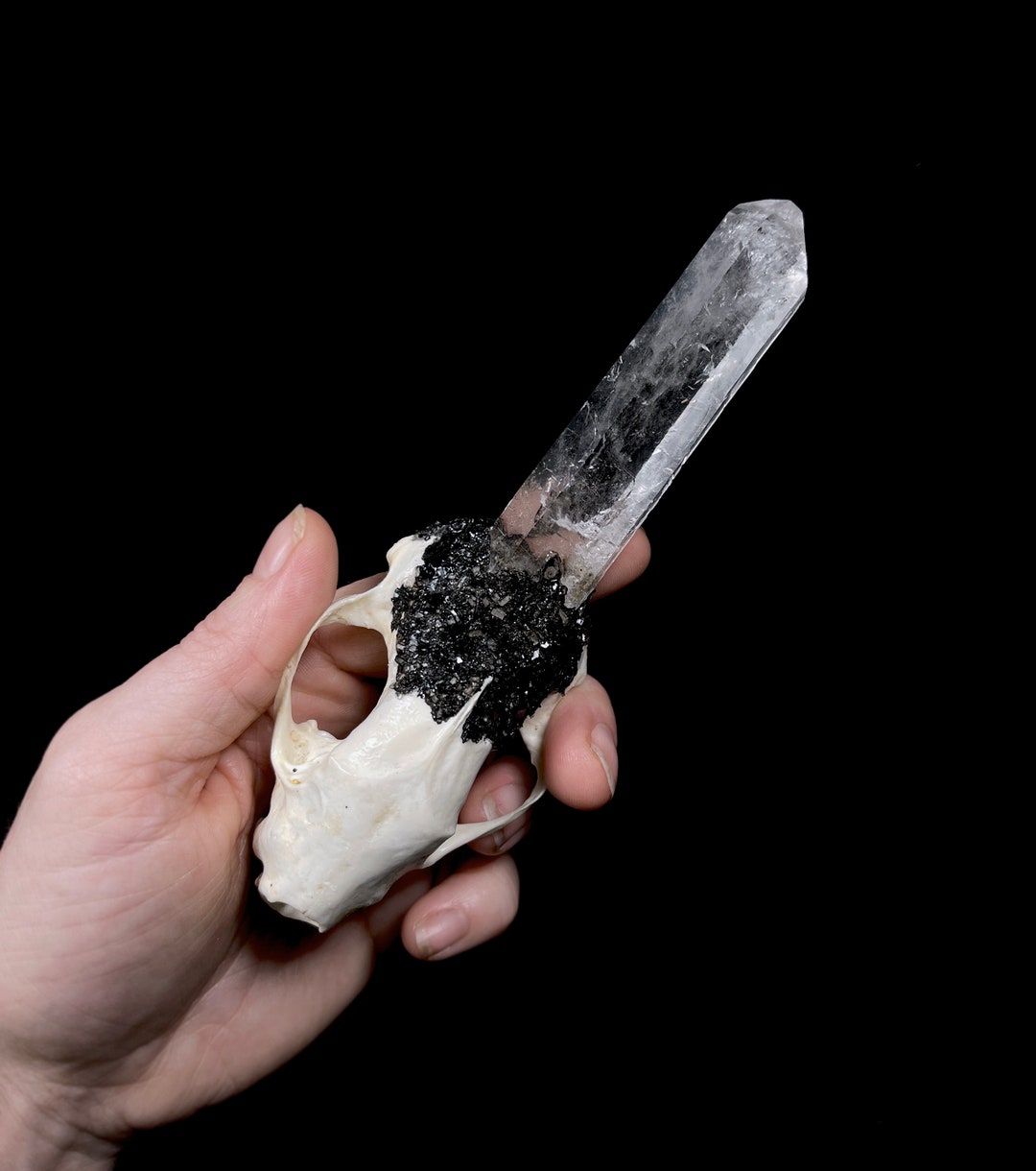Skunk Skull, Wand, Animal Bone, Smoky Quartz, Crystal Wand, Bone Art ...