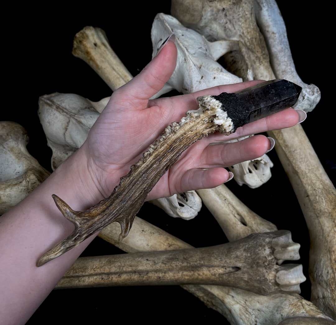 Wand, Animal Bone, Skulls, Crystal Wand, Bone Art, Witch, Wiccan, Pagan ...
