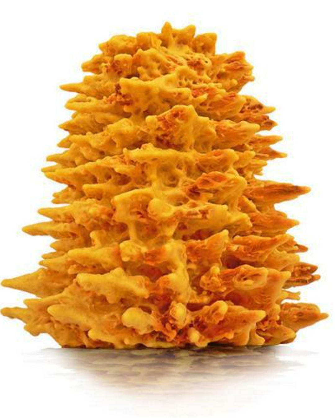 Lithuanian Šakotis Cake, Tree Cake, Baumkuchen, Sękacz, Sakotis - Etsy