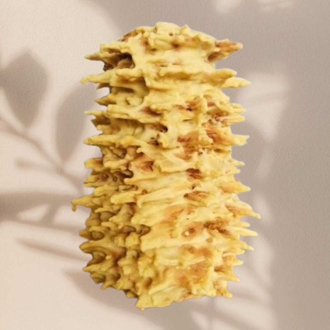 Lithuanian Cake Šakotis, Tree Cake, Baumkuchen, Sękacz - Etsy