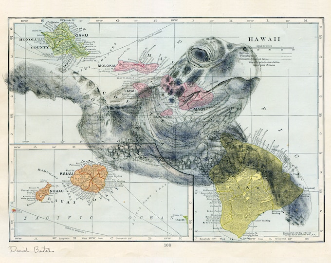 Realistic Sketch of a Majestic Sea Turtle Swimming Over a Coral Reef ...