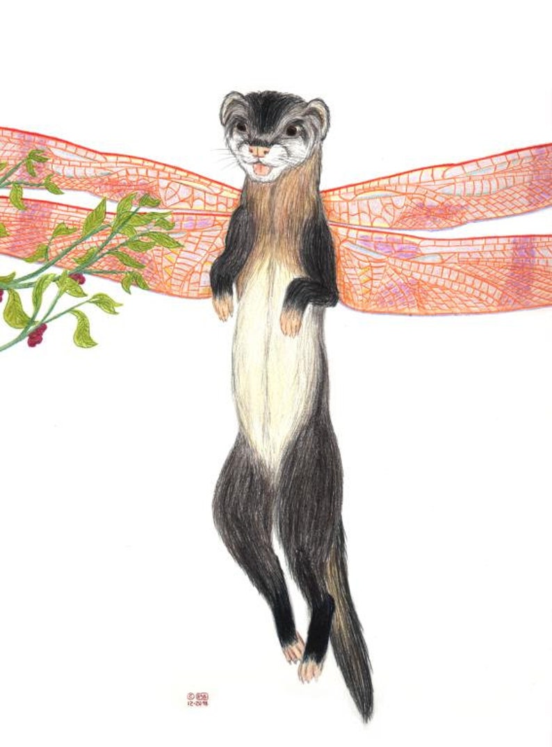 A Sable Flutter Ferret With Orange Wings Hovering Near a Branch of ...