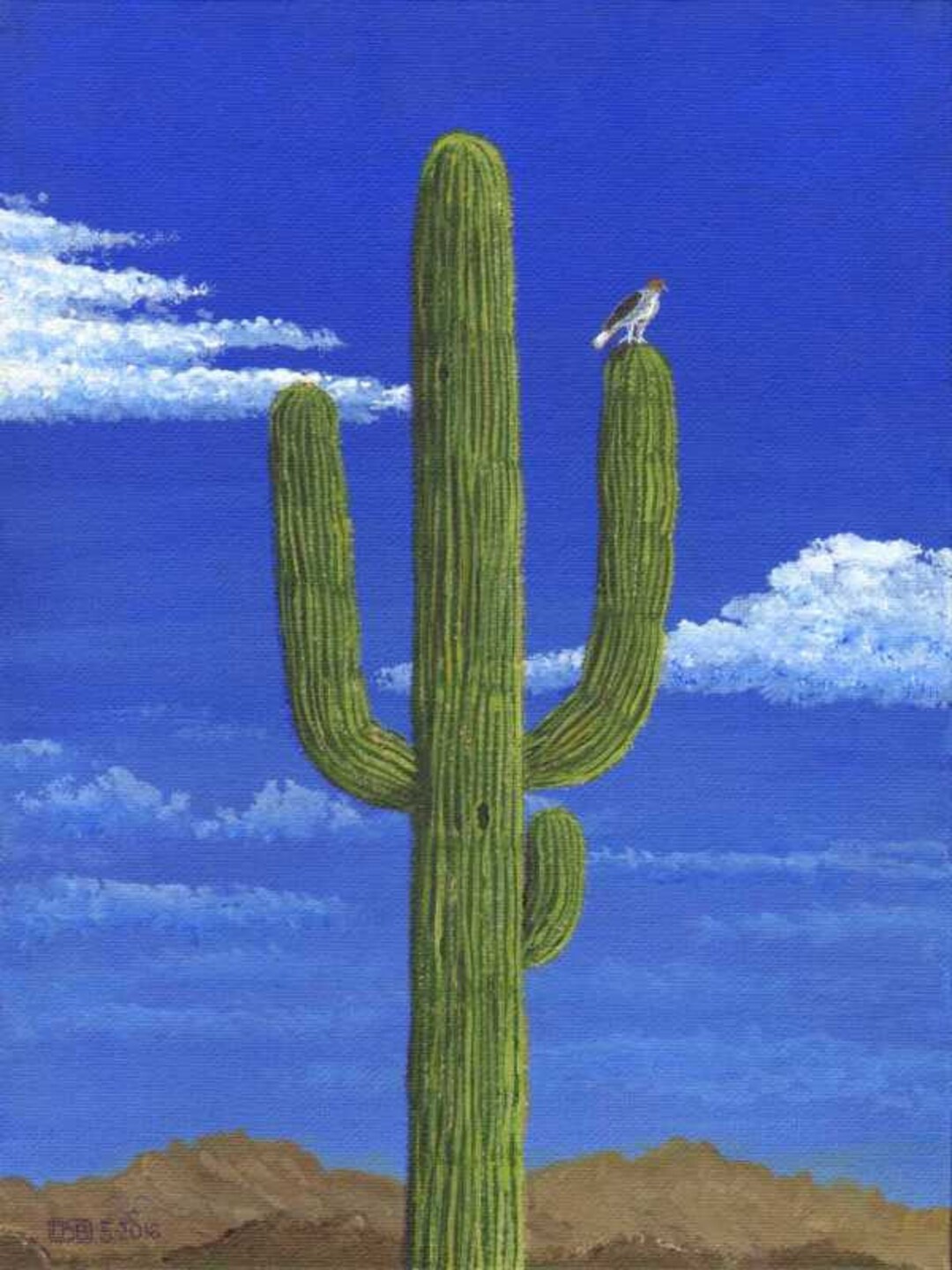 Saguaro Cactus With Red Tailed Hawk Perched Atop, Desert Landscape ...