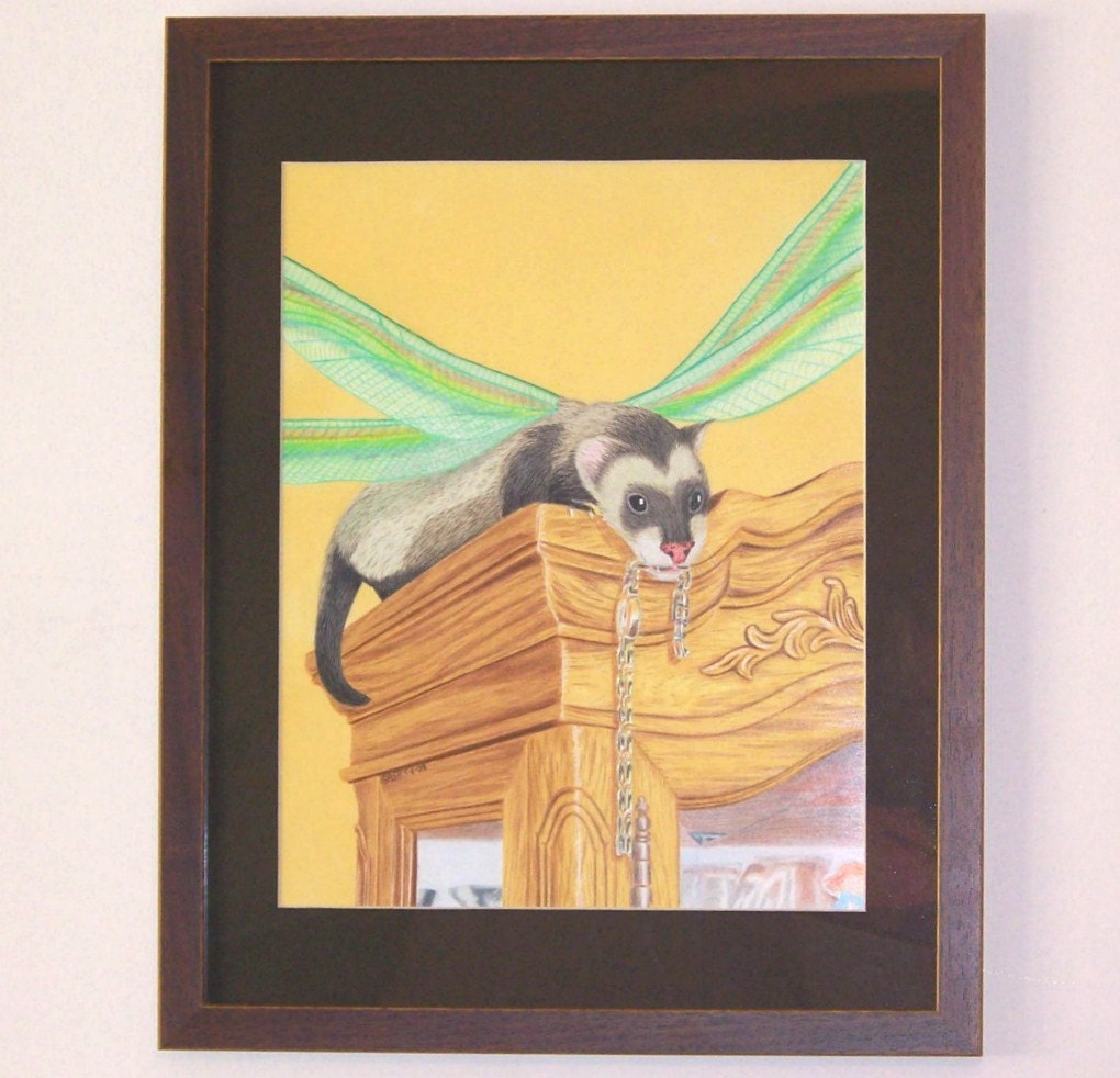 Flutter Ferret With Shiny Wrist Watch on Top of Display Cabinet, Framed ...