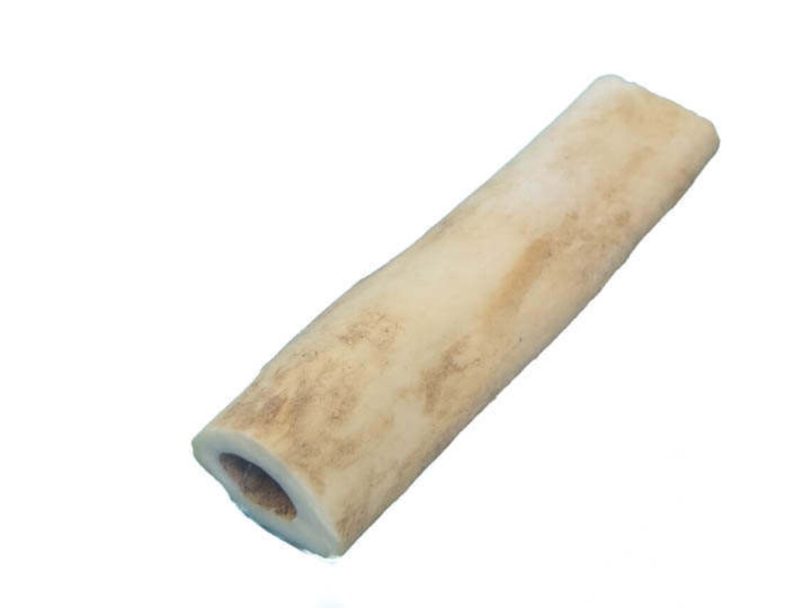 10 ten 2 Coyote Bone Hairpipe Pieces 125-CB-20 P15 | Etsy