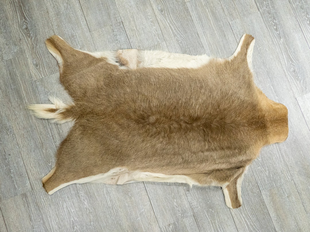 Rhebok Antelope Skin (1028-G01) Y1E - Etsy