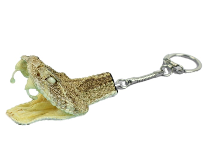 Rattlesnake Head Keychain: Wide Open Mouth (42-30W) Y2H - Etsy
