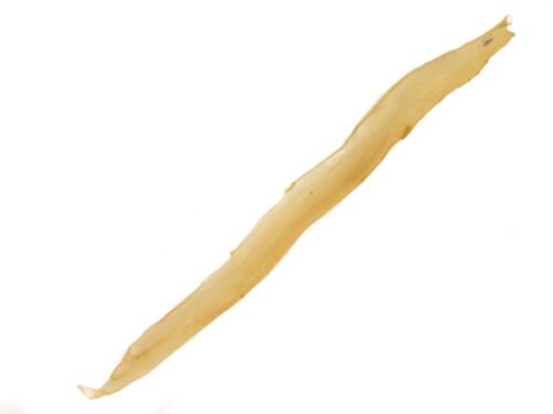 Deer Backstrap Sinew: Less Than 19