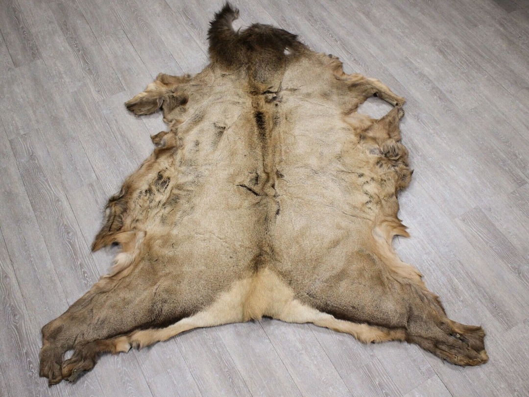 Tanned Elk Hide: Gallery (43-G3258) - Etsy