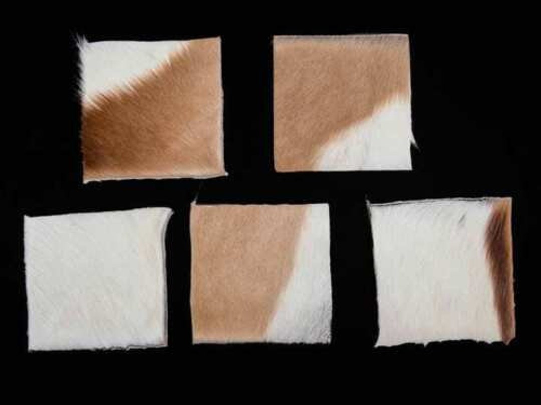 Natural Springbok Skin 4”x4” Project Pieces (5 Pieces) (155-PP-0404) - Etsy