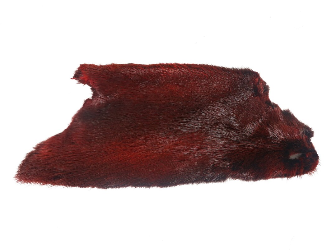 Dyed Partial Beaver Skin (50-55-G4464) Y1L - Etsy