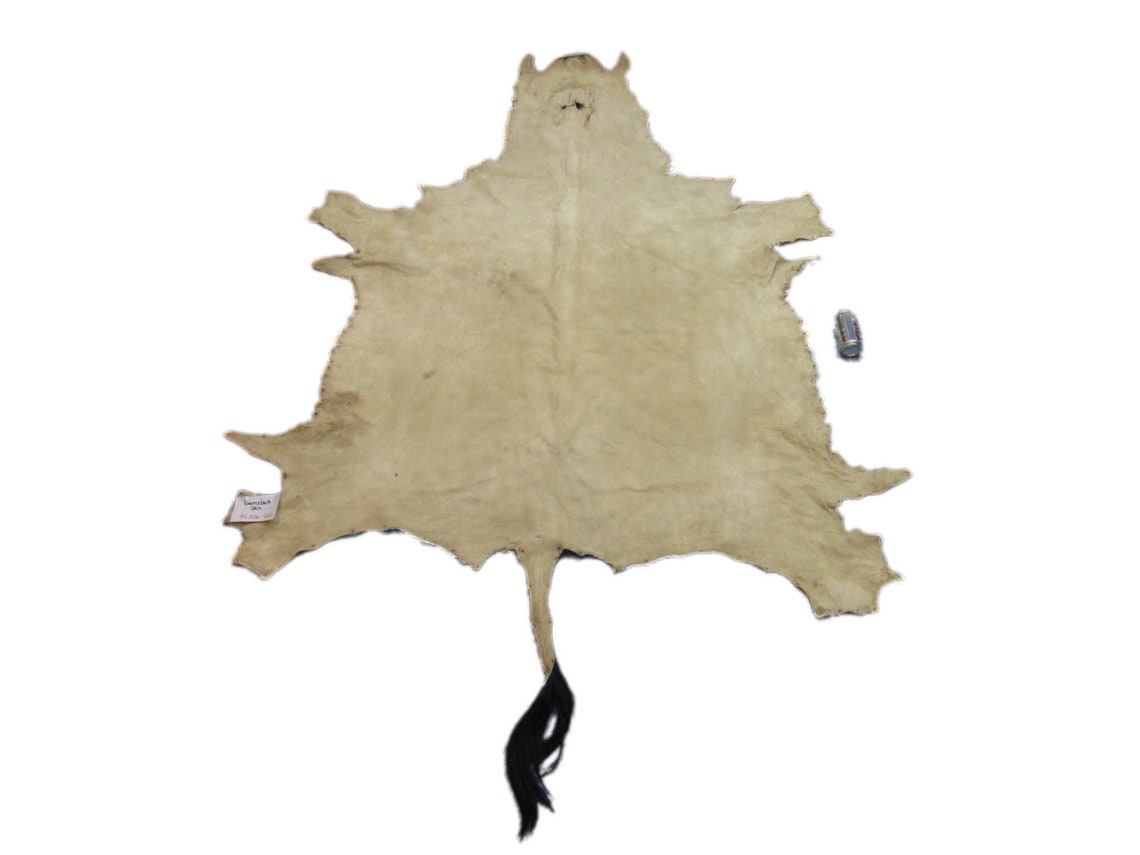 African Gemsbok Antelope Skin From Namibia AGS06-G01EW L19 - Etsy