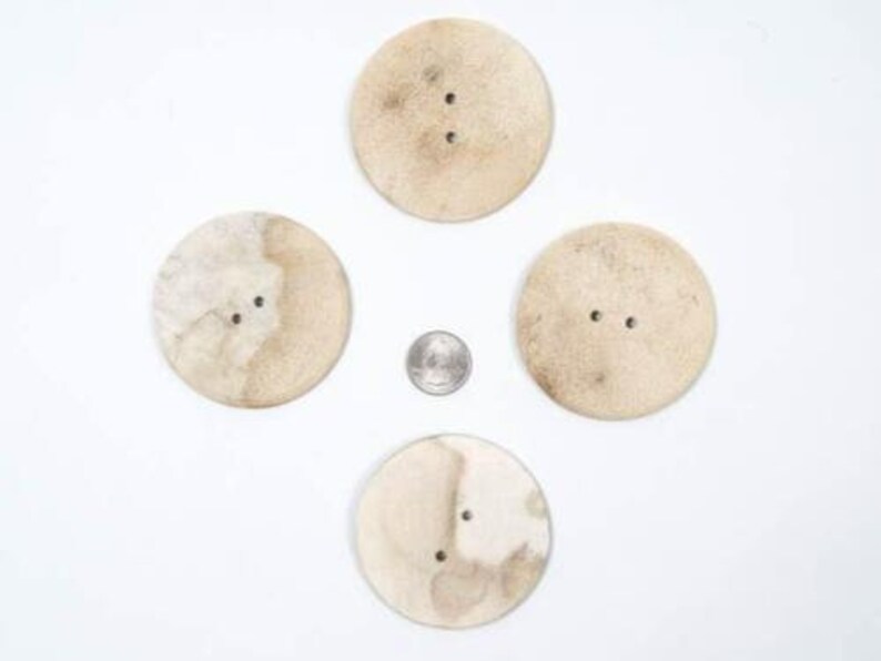 Palm-cut 2-hole Moose Antler Button: 3.0" (38-P2-3.0) - Etsy