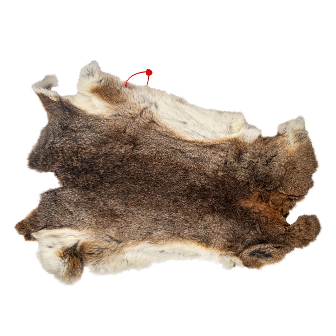 Hungarian Jumbo Rabbit Skin Bunny Brown: First Grade (283-1-HUNBBJ ...