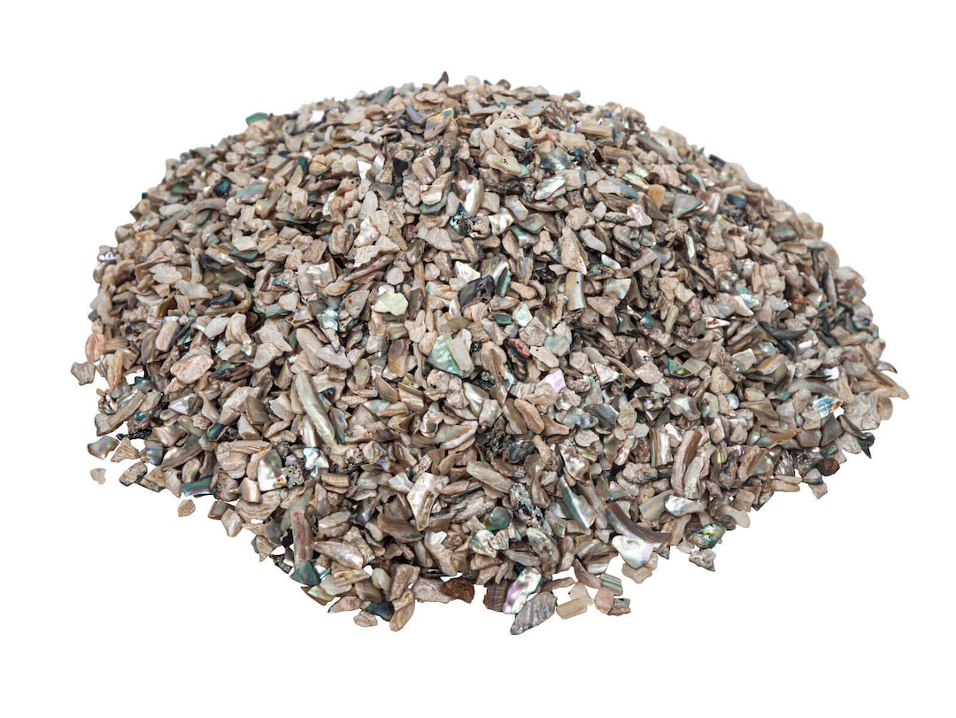 1-kg Bag (2.2 Pounds) of Tumbled Natural African Abalone Pieces: 4mm ...
