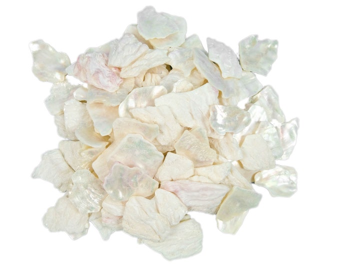 Creamy White African Abalone Shell Pieces: 25mm Size. 1-kg Bag | Etsy