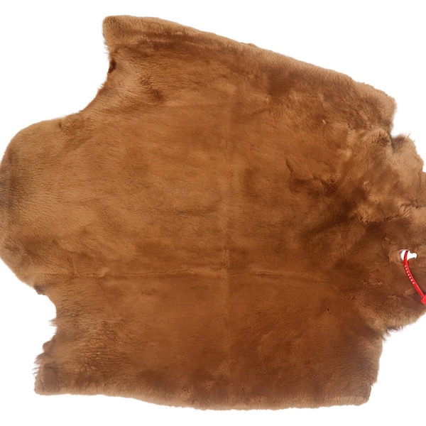 Sheared Beaver - Etsy