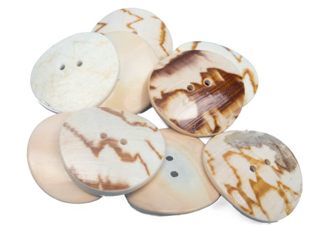 Clam Shell Button 1.5" in Lots of 10/25/50 (491-1.5) Y2L - Etsy
