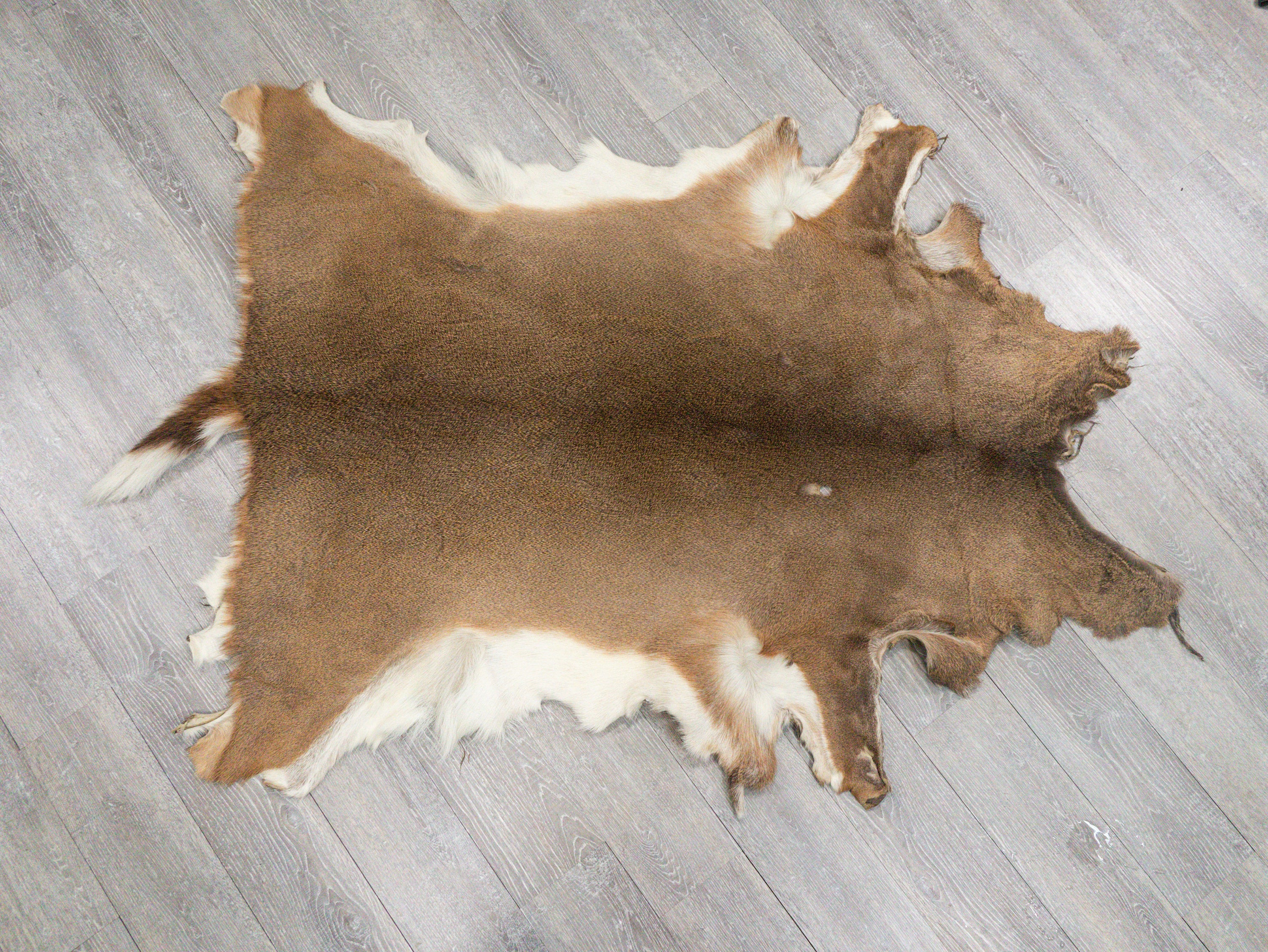 Deer Hide Blanket