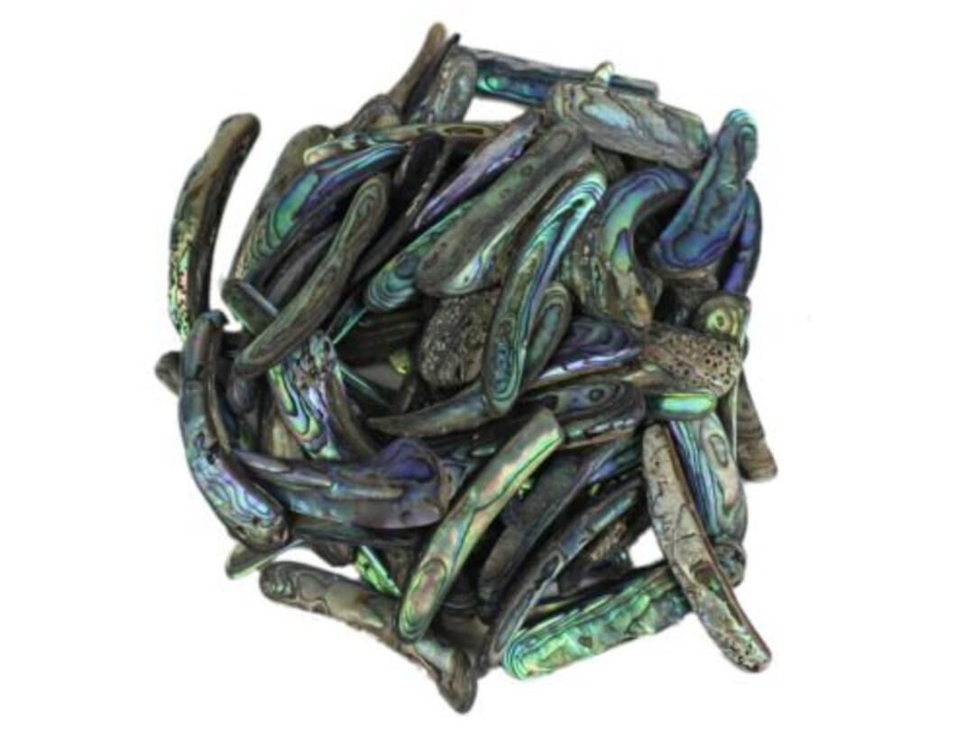 Paua Abalone Shell Rims Satin: Small 1/4 Lb (565Z-TPSRS-AS) Y3L - Etsy