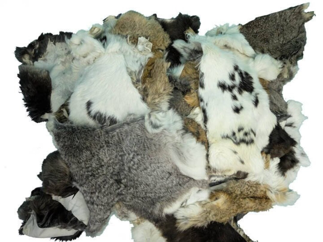 9 Assorted Skins of Heavy Scrap Rabbit Fur (140-HVN-B) Y2L - Etsy