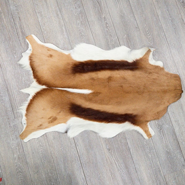 Springbok Hide - Etsy