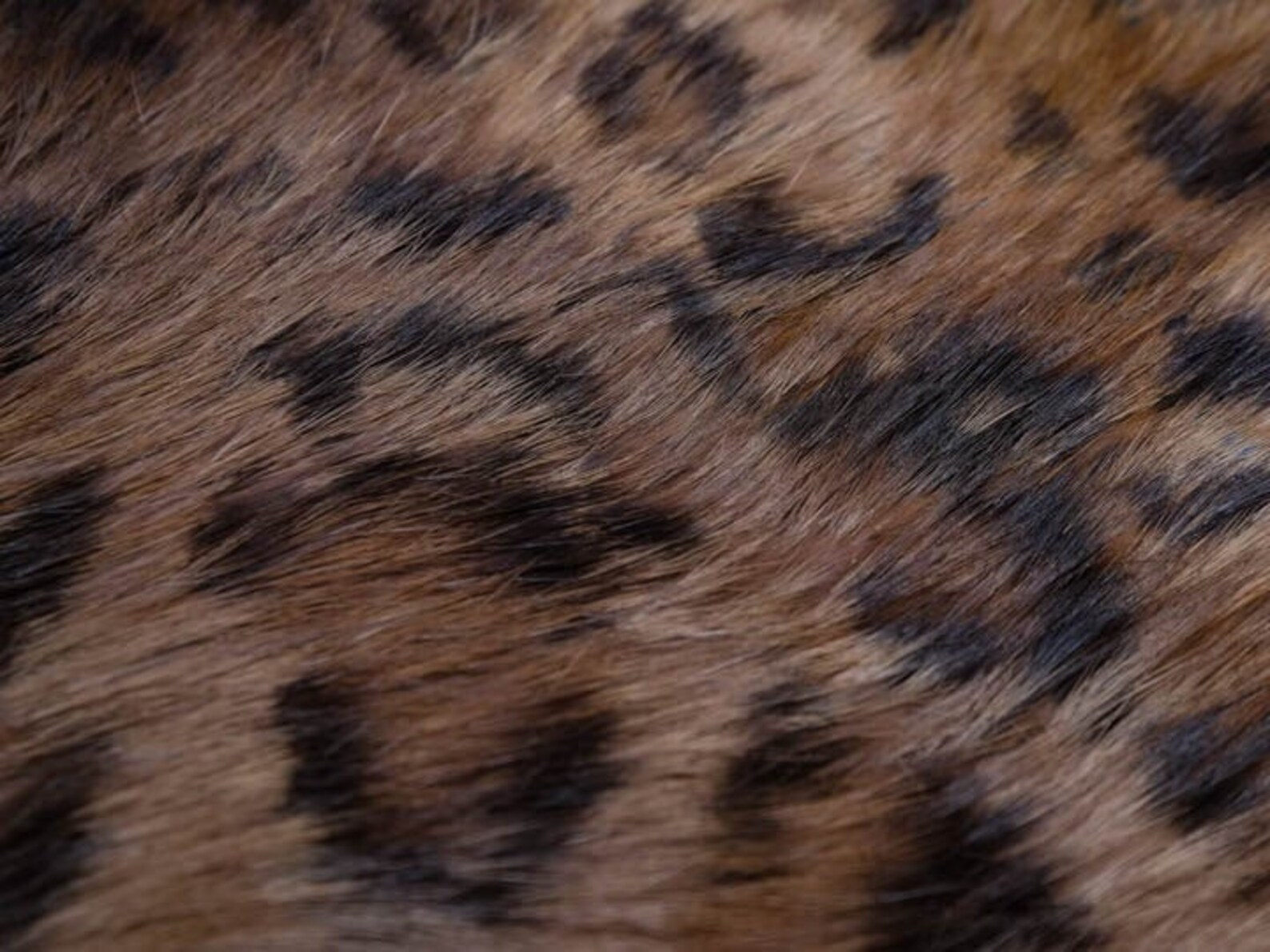 Printed Rabbit Skin: Leopard Pattern 188-P2264 Y2E - Etsy