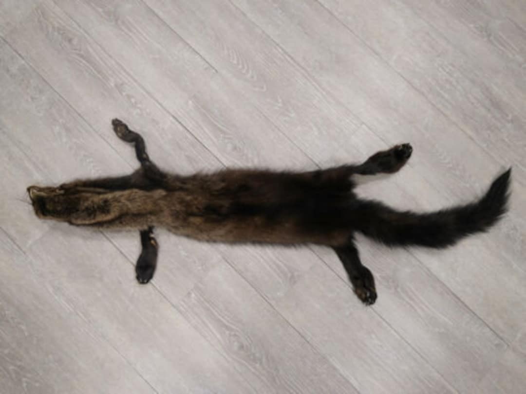 Real Fisher Skin With Feet (181-01WF-G2440) Z2 - Etsy