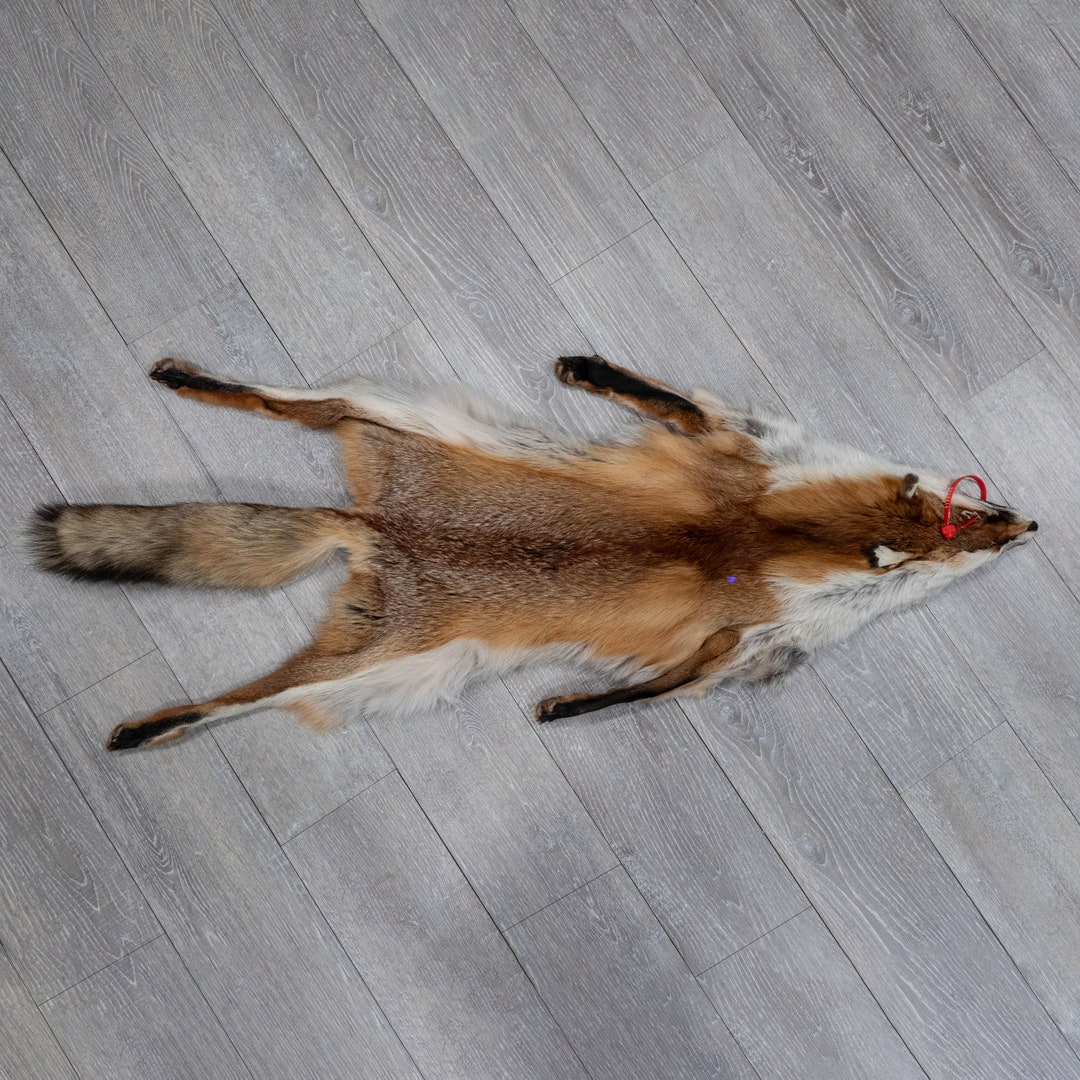 Real Red Fox Skin With Feet (180-03-WF-G2518) Y1K - Etsy