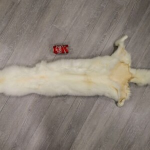 Extra-large Fashion Quality White Shadow Fox / Polar Fox Skin 41"-44 ...