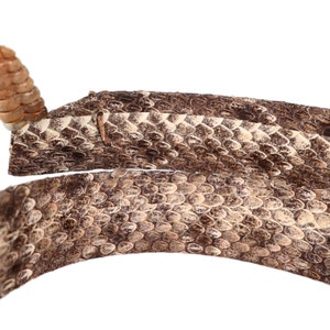 1.25 Real Rattlesnake Hat Band With Rattle 598-HB202D | Etsy