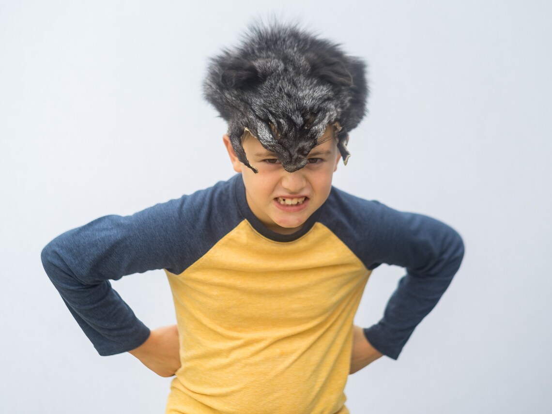 Authentic Silver Fox Halloween Face Mask 17-MASK-07 B2 - Etsy